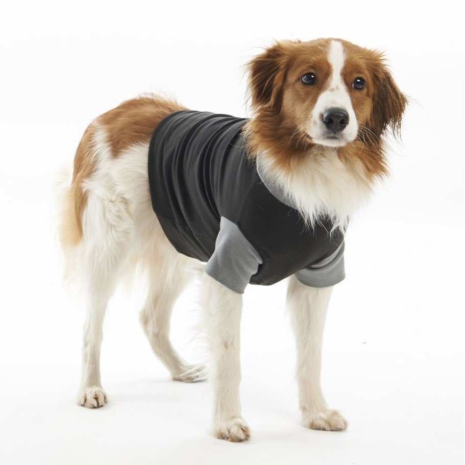 Body Suit Classic OP Schutz von Buster günstig bestellen | tiierisch.de