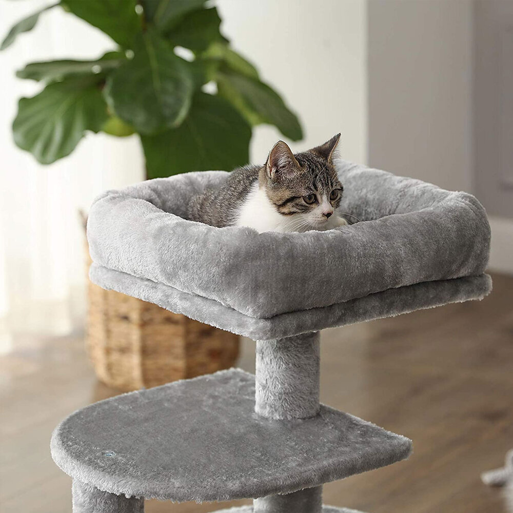 FEANDREA Kratzbaum, Kleiner Katzenbaum, mehrstufig von FEANDREA günstig ...