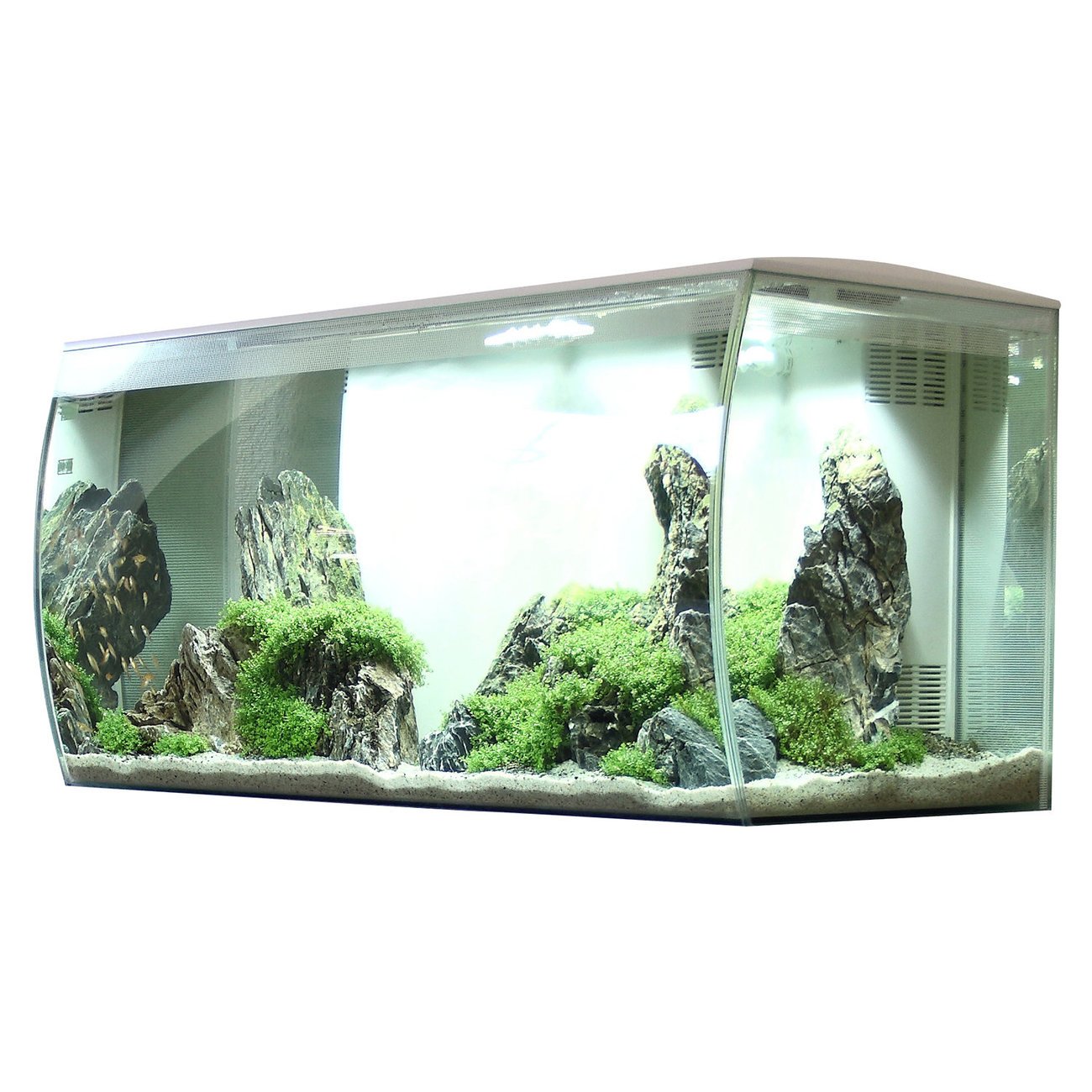 Fluval Flex 123 Liter Aquarium von Fluval günstig bestellen | tiierisch.de