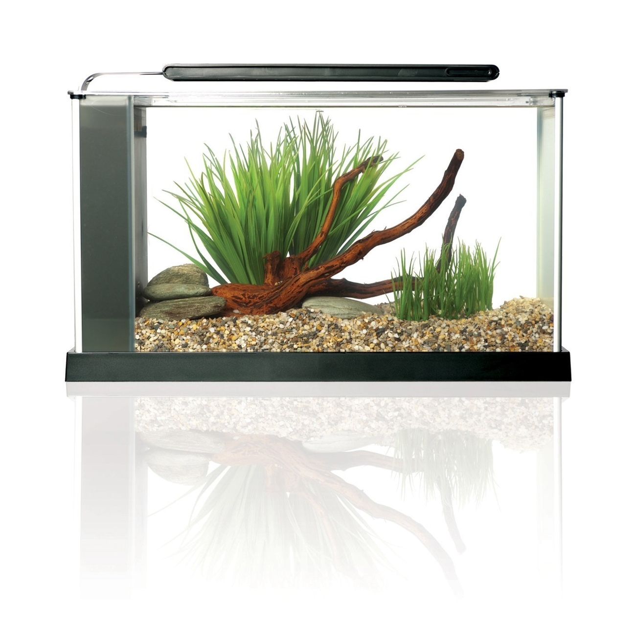 Fluval SPEC Süßwasser Aquarium Set von Fluval günstig bestellen