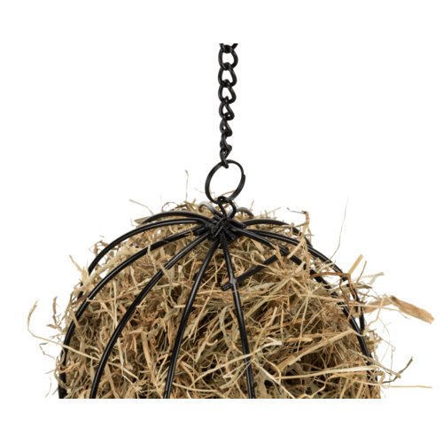 Food-Ball Futterball für Kleintiere 6104 von TRIXIE günstig bestellen ...