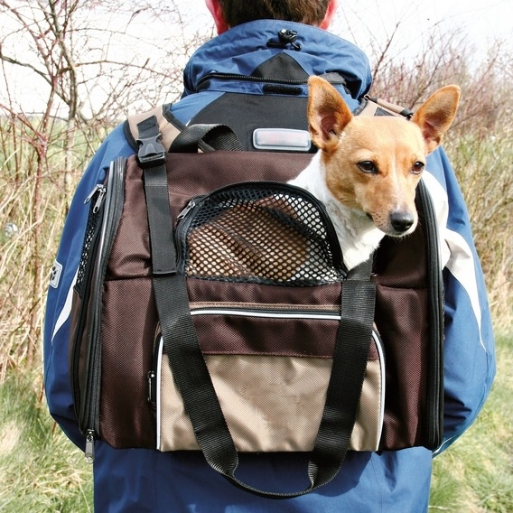 Rucksack für Hunde Shiva 28871 von Trixie günstig bestellen